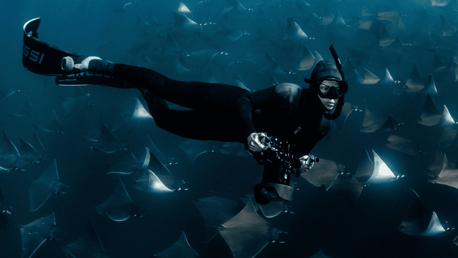 Deep Dive North America - Big Wave Productions