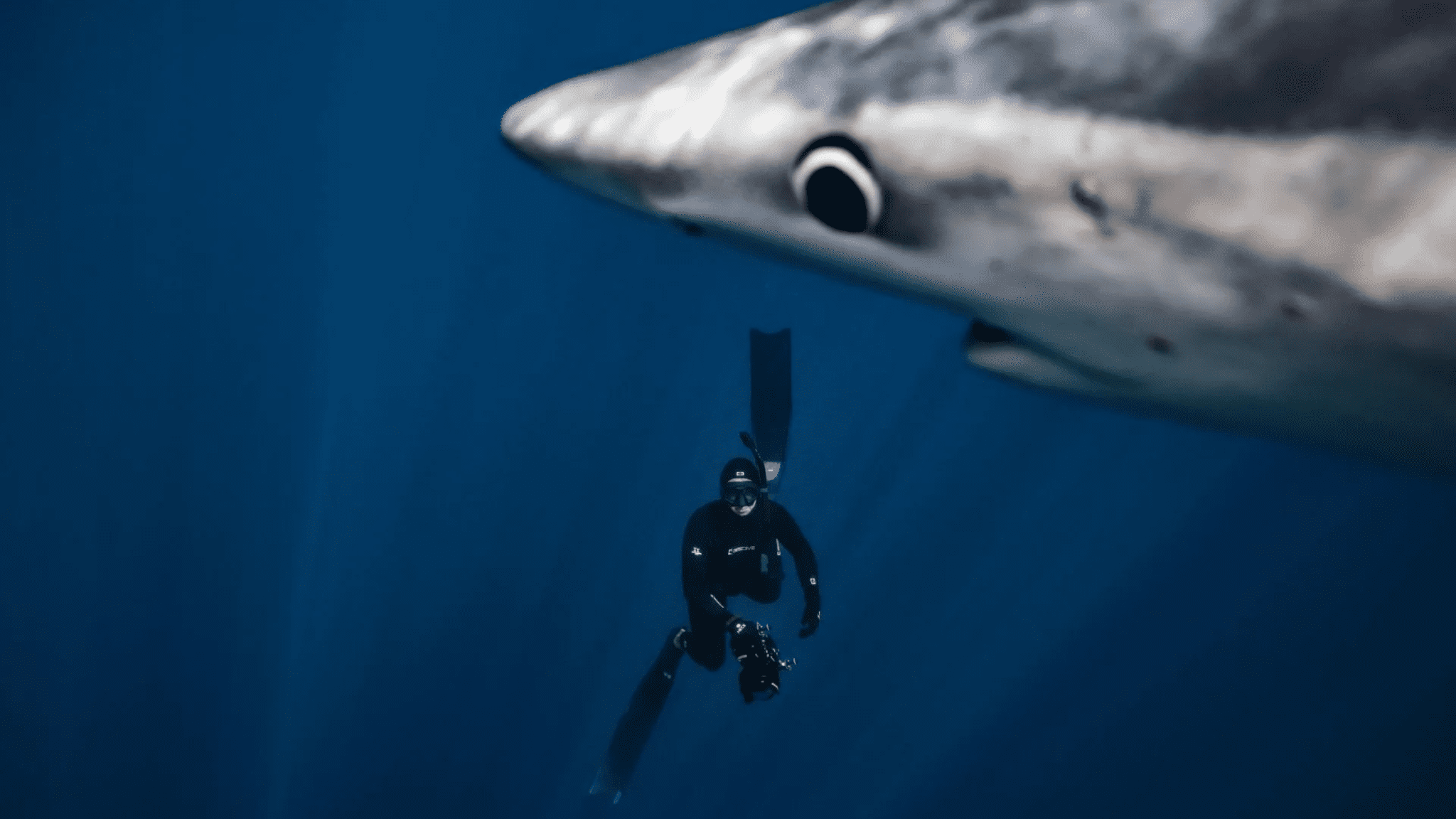 Deep Dive North America - Big Wave Productions